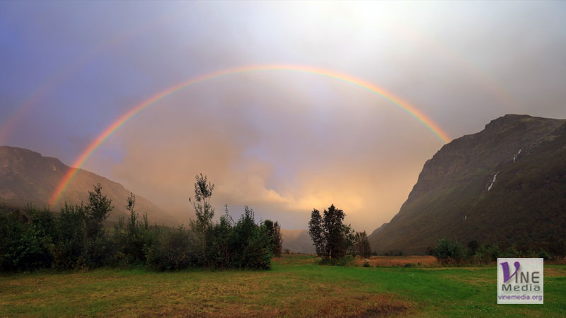 #12──第一層天─天空──The First Heaven – Sky – Vine Media
