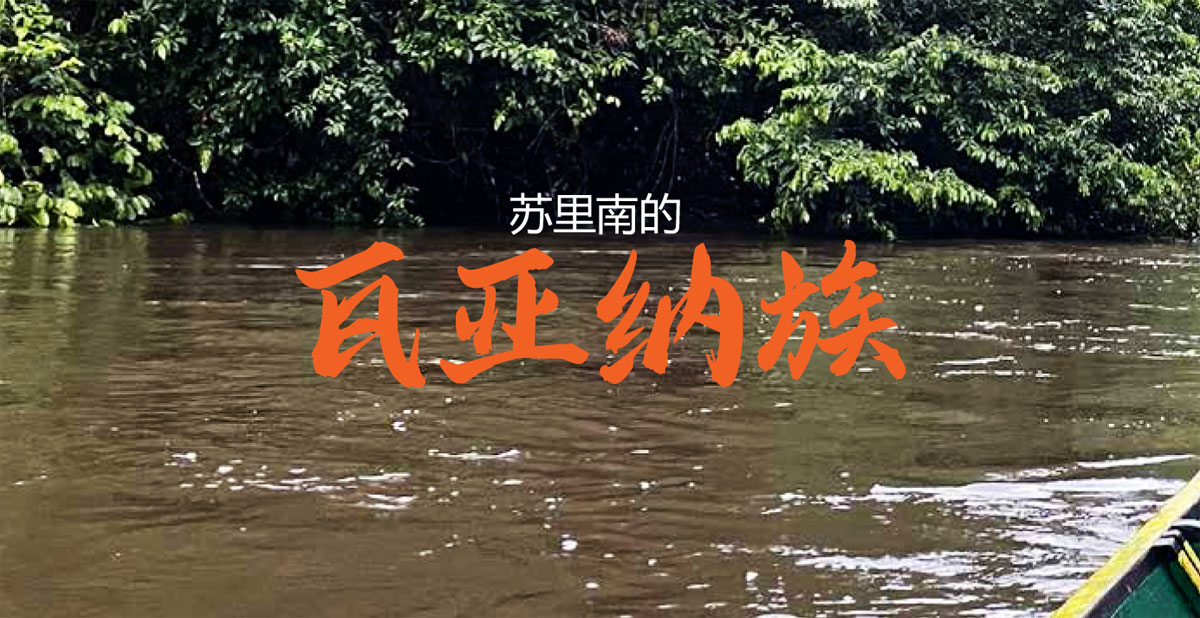 第十七天 蘇里南的瓦亞納族──Day 17 The Wayana people of Suriname – Vine Media